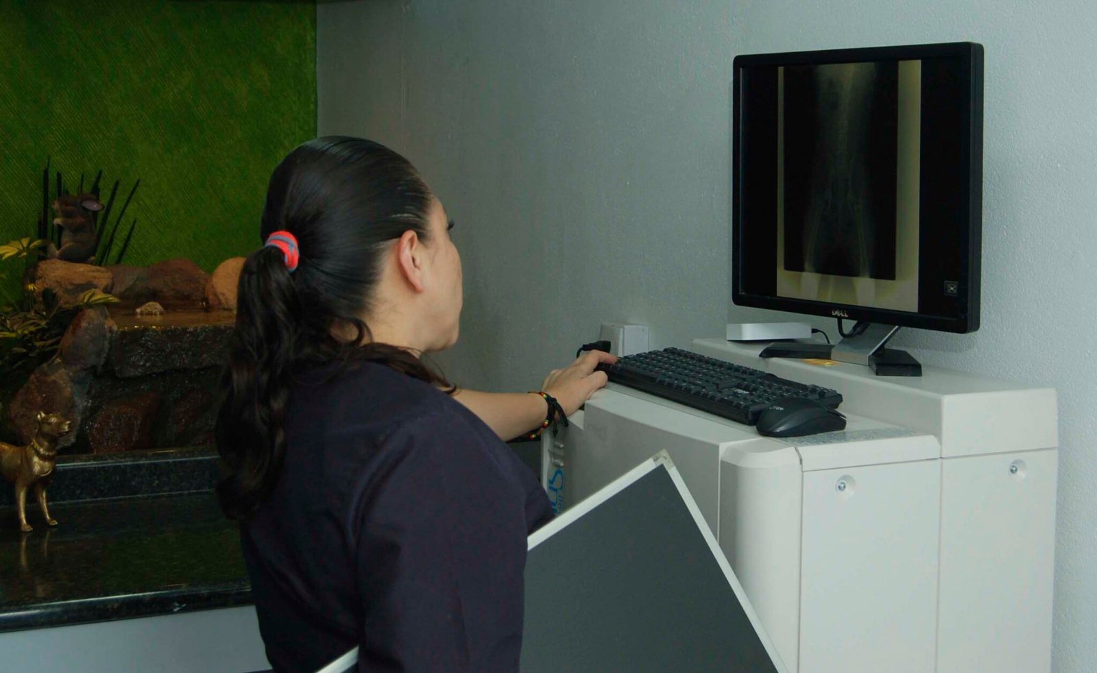 MVET Medicina Veterinaria