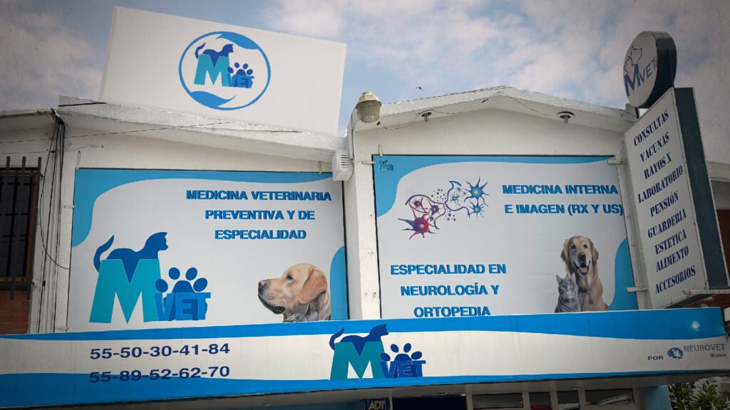 MVET Medicina Veterinaria