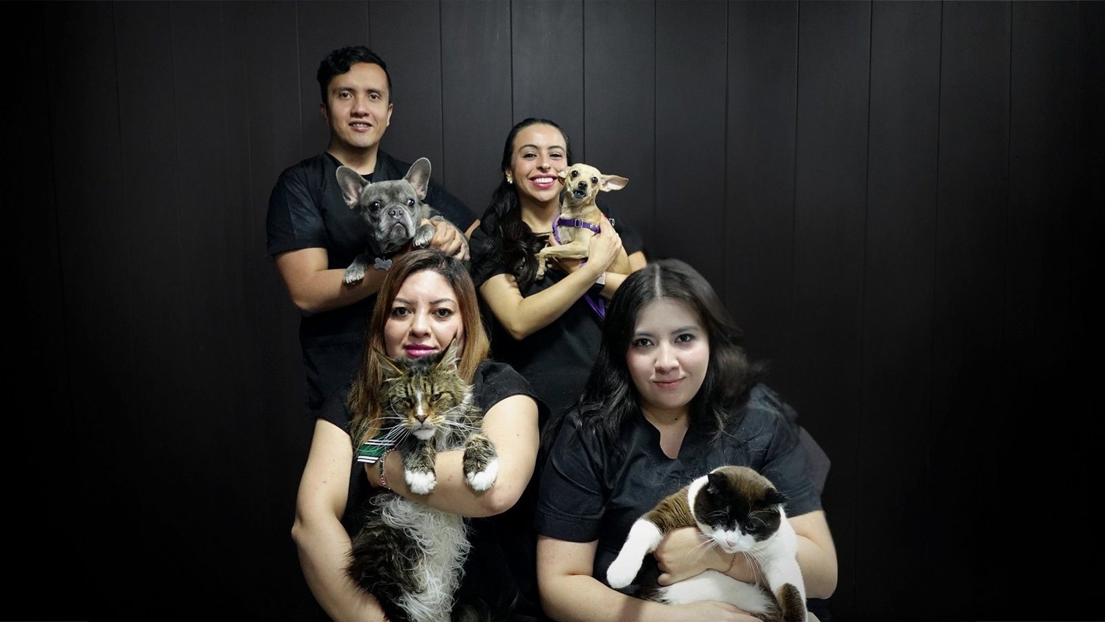 MVET Medicina Veterinaria